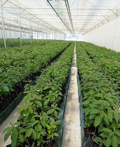 JAI HANUMAN IRRIGATION LIMITED